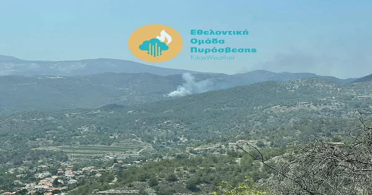 Πυρκαγιά μεταξύ Ποταμίτισσας και Δύμες — Υπό έλεγχο μετά τις πρώτες ...