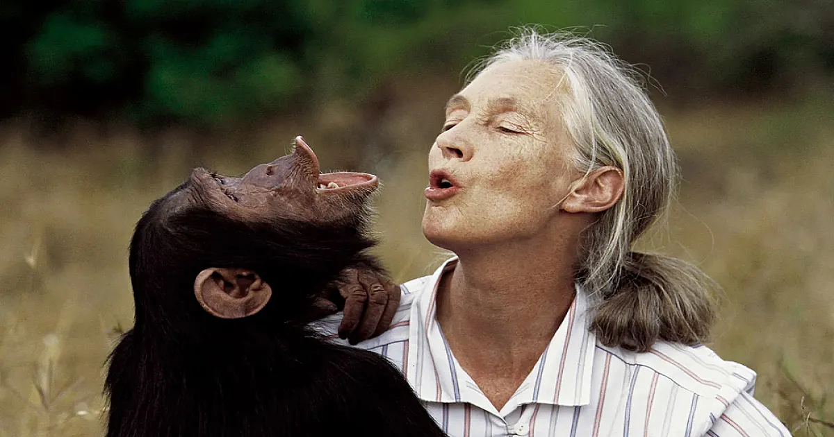 Dame Jane Goodall Remembered as a True Hero for the Planet