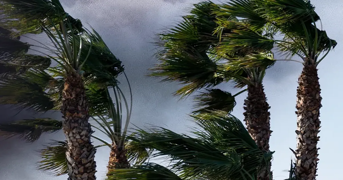Yellow Warning Issued for Gale-Force Winds