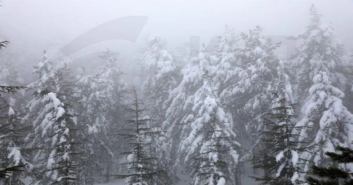 Coldest Day of Winter Expected on Tuesday