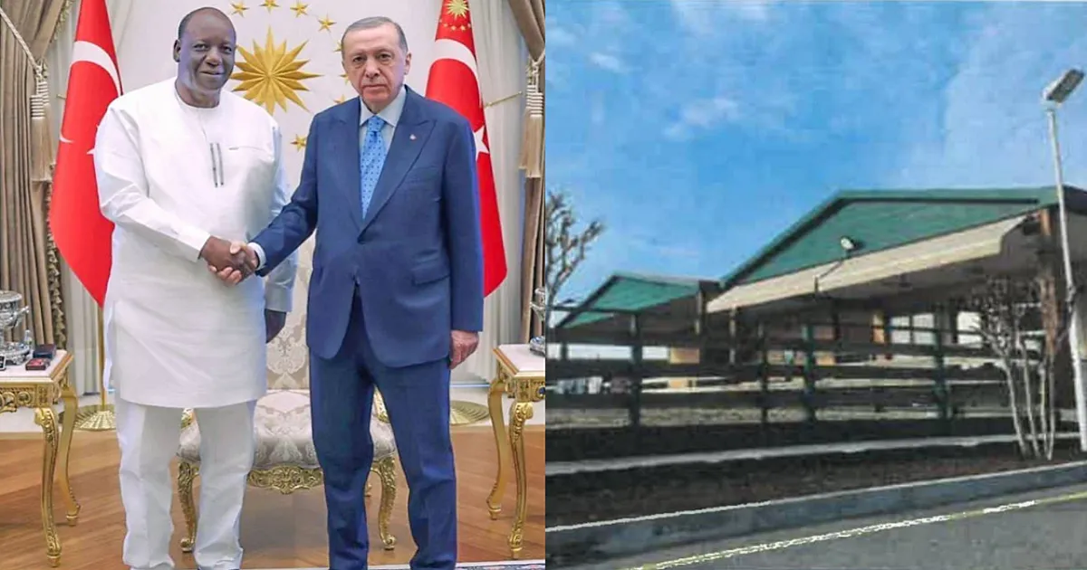 Μια μυστική φάρμα στην Κωνσταντινούπολη, ο Αφρικανός μεγιστάνας, τα ...